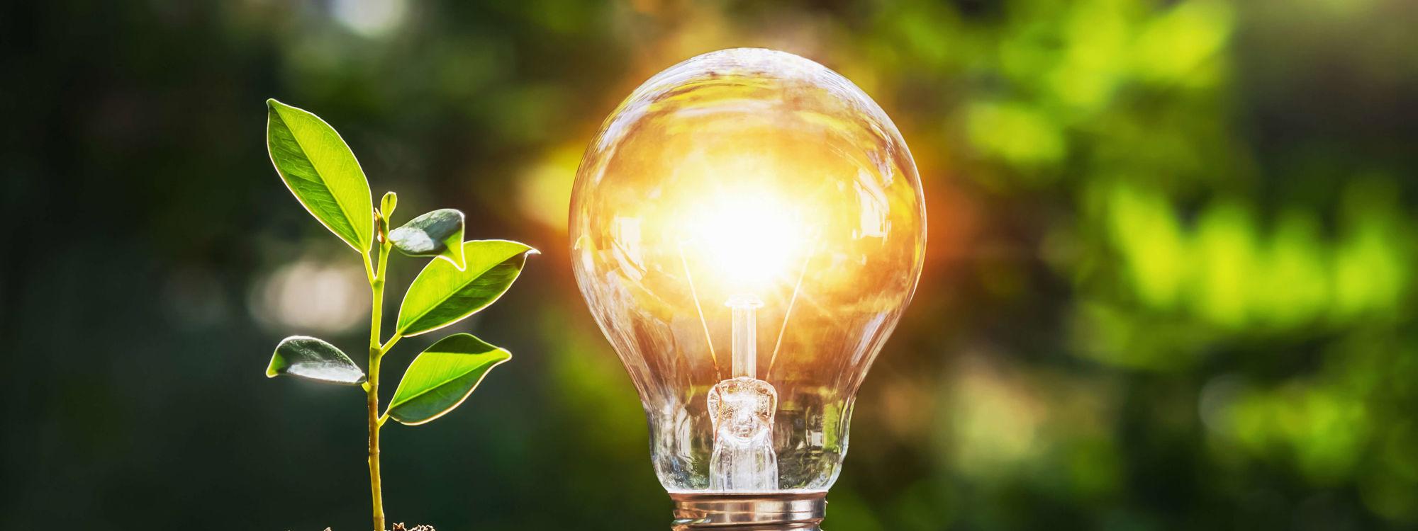 Sustainable composite materials | NCCUK